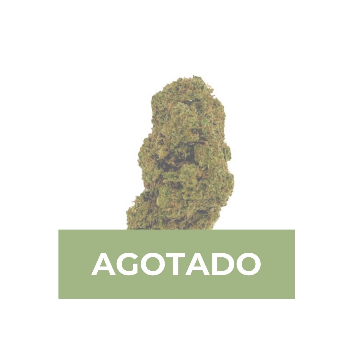 Lemon Tree CBD - Mannali CBD